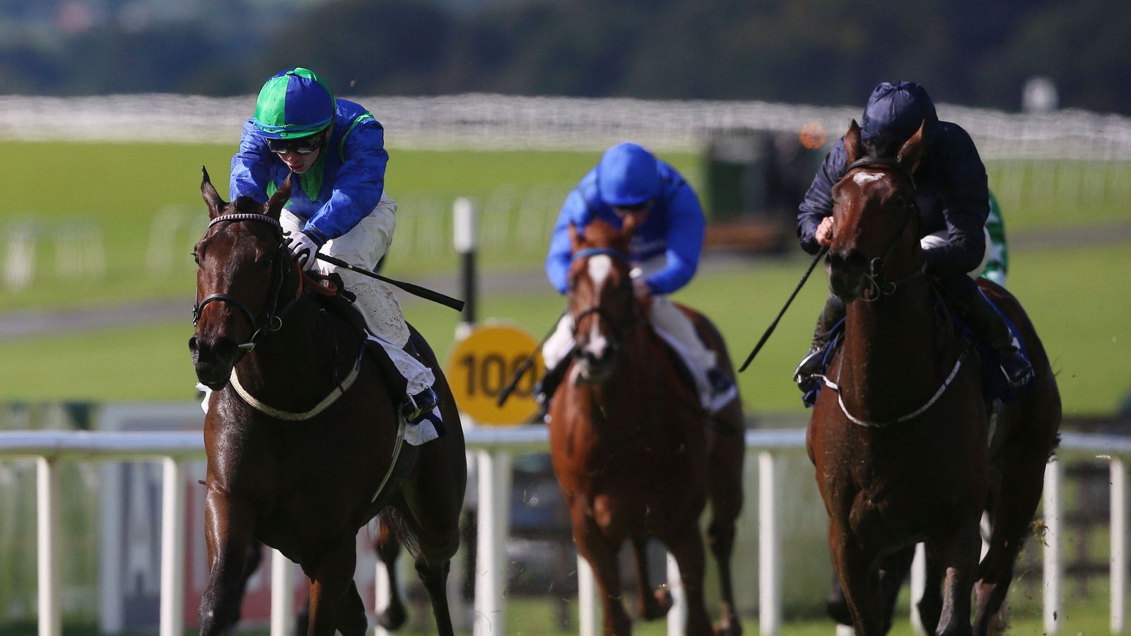 Review of racing from the Curragh: Vociferous Marina wins for Jim ...