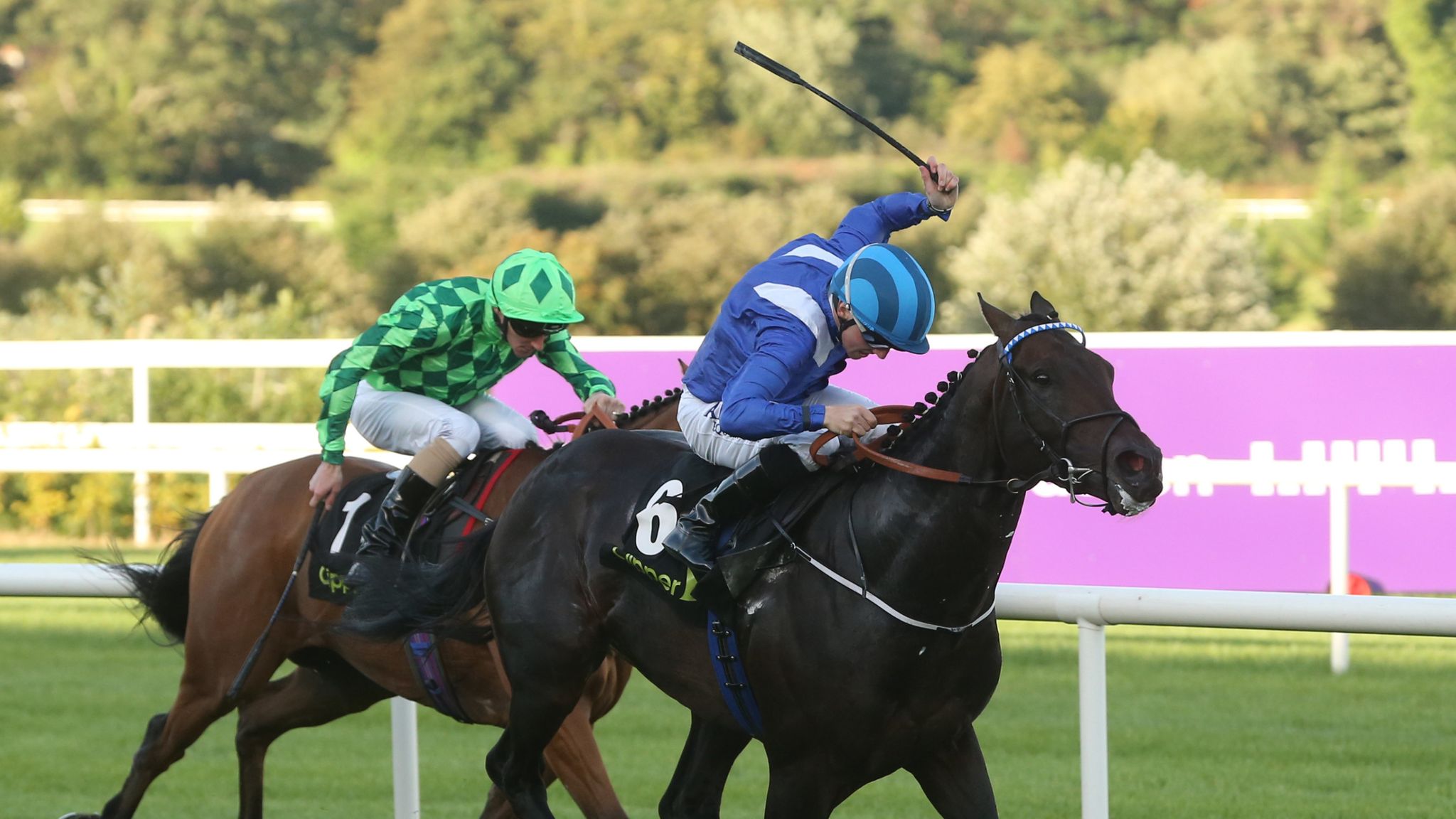 Chris Hayes rides Awtaad in Queen Elizabeth II Stakes at Ascot | Racing ...