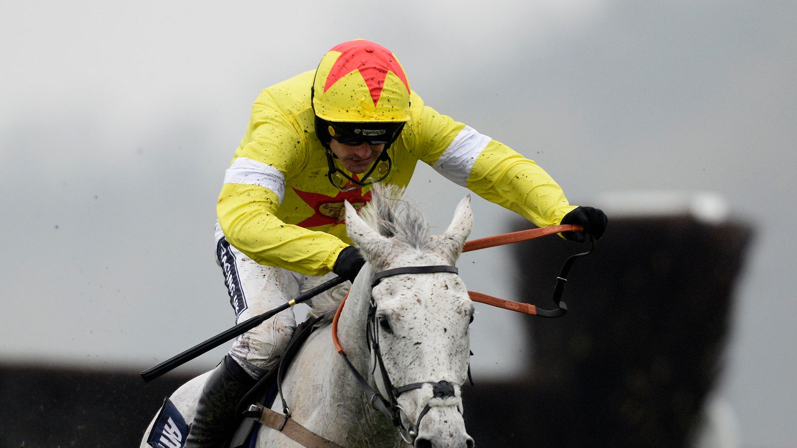 Dan Skelton retires popular chaser Al Ferof | Racing News | Sky Sports Dan Skelton retires popular chaser Al Ferof | Racing News | Sky Sports