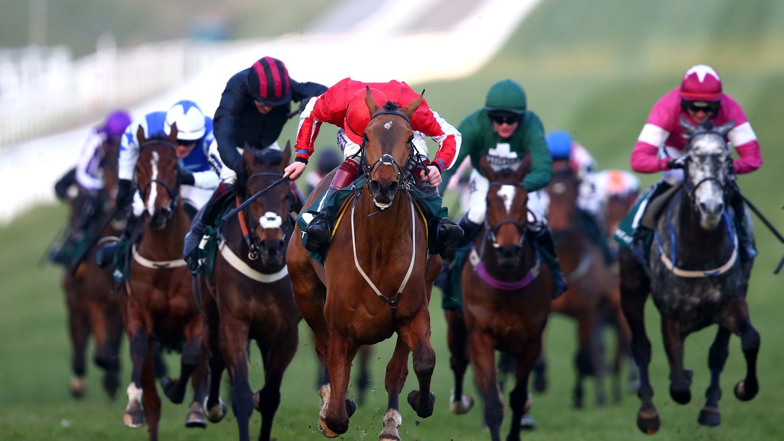 Racing from Newbury: High Bridge delights Ben Pauling on Newbury ...