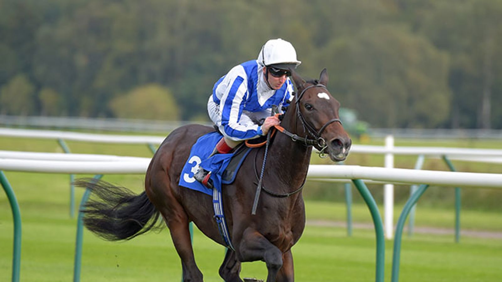 Racing from Nottingham. David Menuisier could run Contrapposto in ...