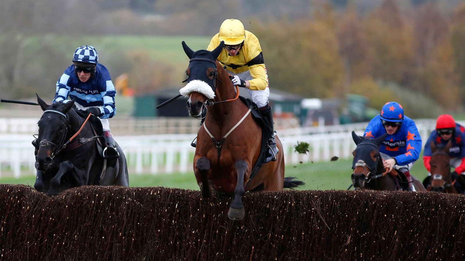 Neil Mulholland plans for Fox Norton, The Young Master and Shantou ...