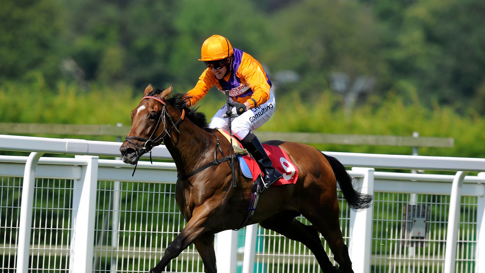 Jim Crowley Q&A ahead of claiming a first ever champion Flat Jockey ...