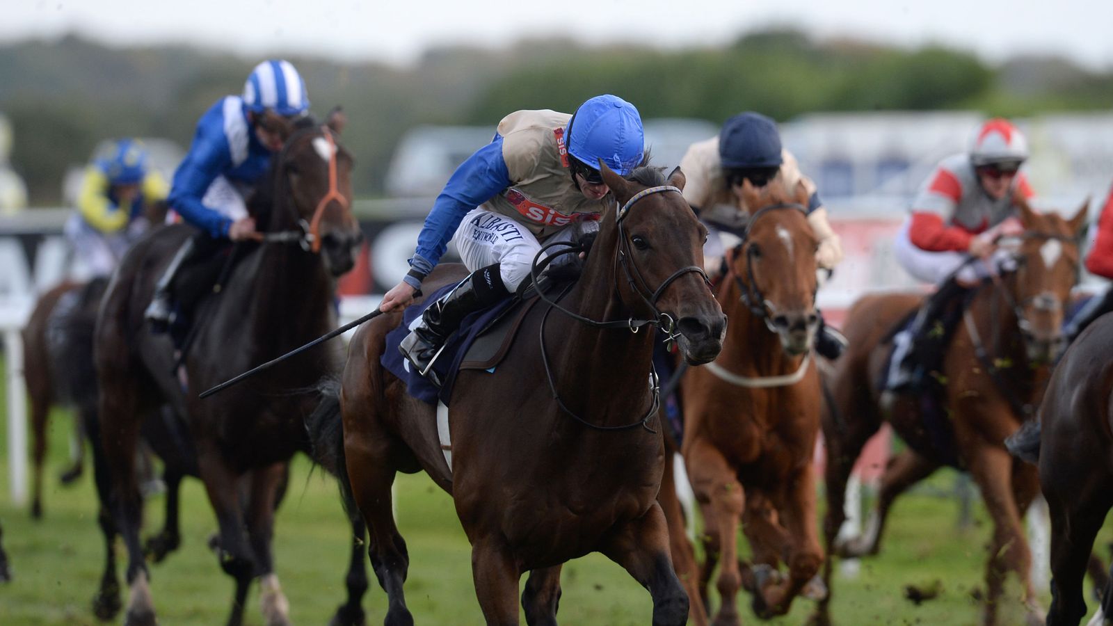 Laurence survives stewards' inquiry | Racing News | Sky Sports