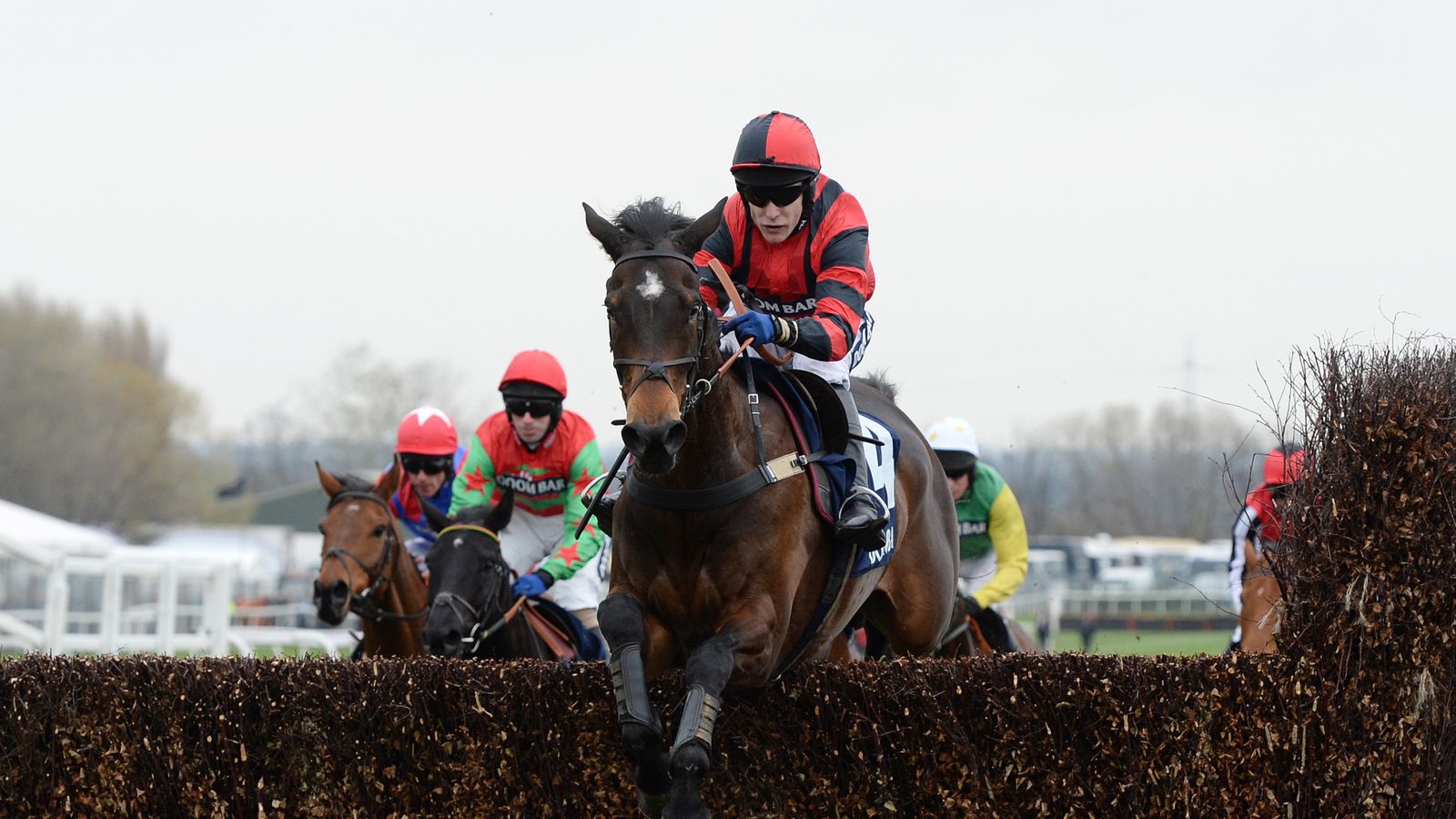 Michael Scudamore eyes The Showcase at Cheltenham for Next Sensation ...