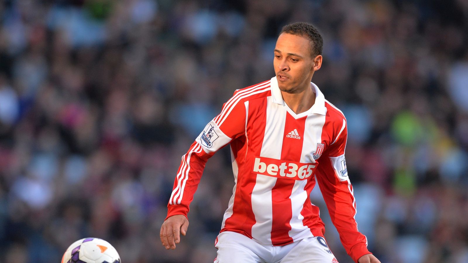 Rotherham sign free agent Peter Odemwingie until January | Football ...