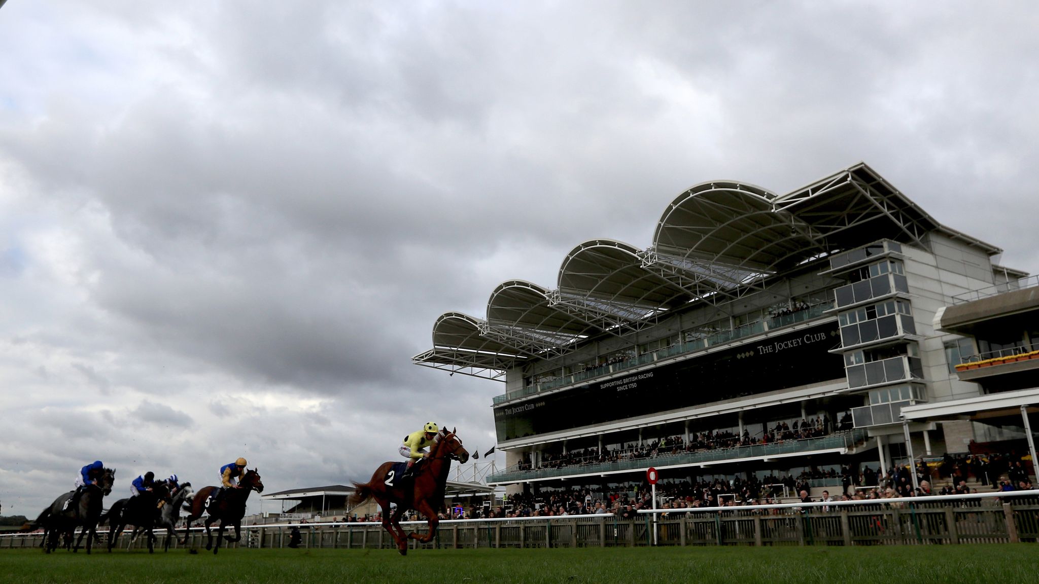 Bryan Smart to run Alpha Delphini in Palace House Stakes | Racing News ...