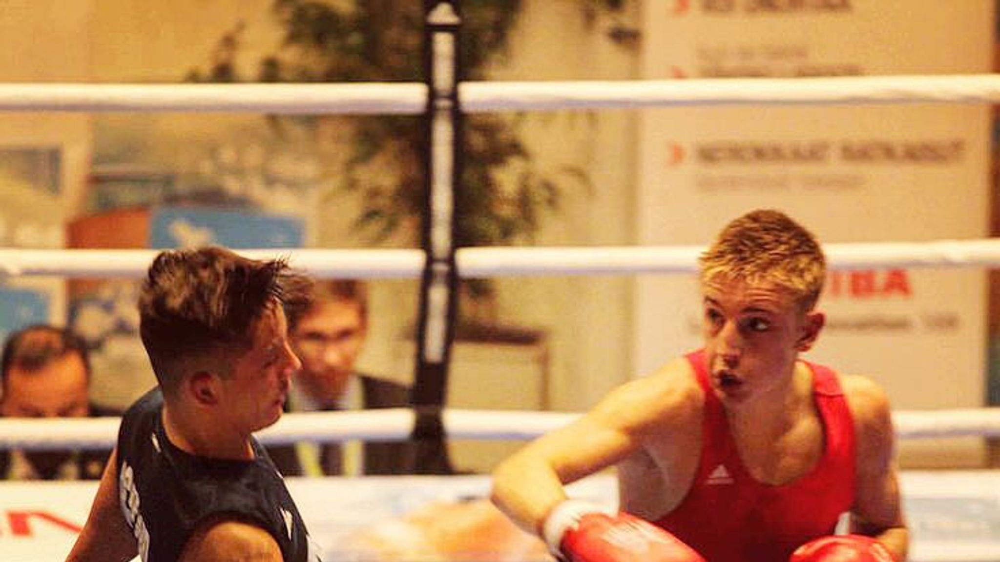 Sky Scholar and boxer Jack Bateson makes triumphant return at Tammer ...