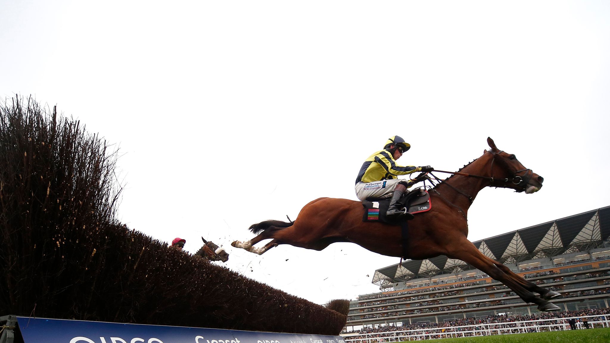 Ascot expecting perfect ground | Racing News | Sky Sports