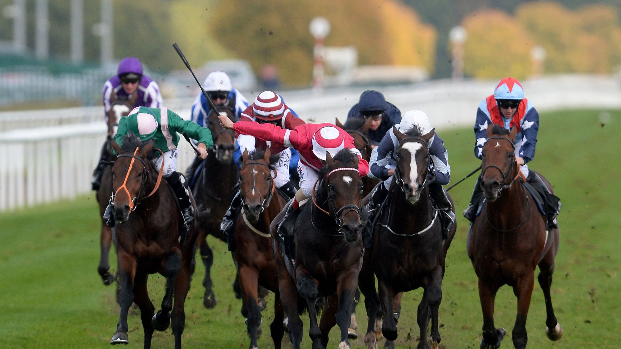 Trainer David Elsworth eyes Sprint prize with Sir Dancealot | Racing ...