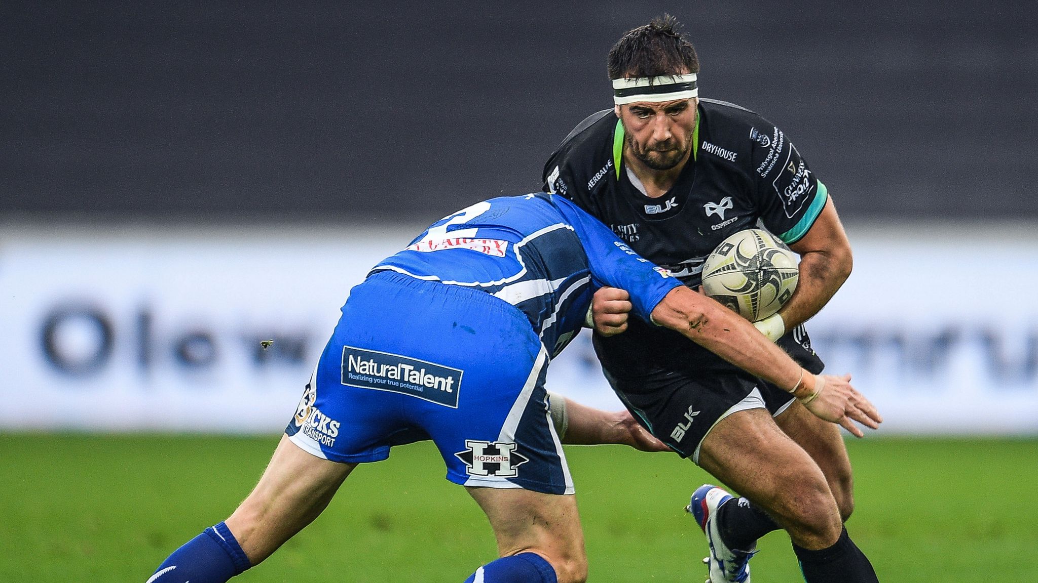 Ospreys hooker Scott Baldwin bitten by lion in South Africa | Rugby ...