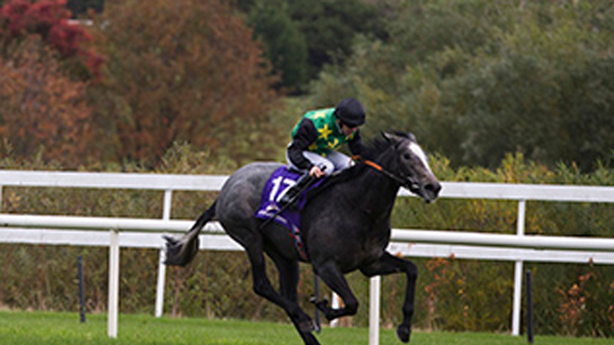 Racing from Leopardstown: Satin Dancer wins for David Wachman | Racing ...