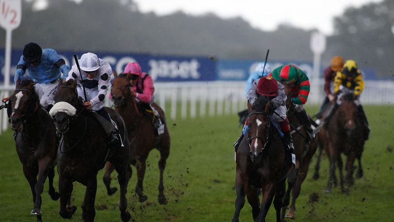 Ed Vaughan pays tribute to Freddy Tylicki at Santa Anita | Racing News ...