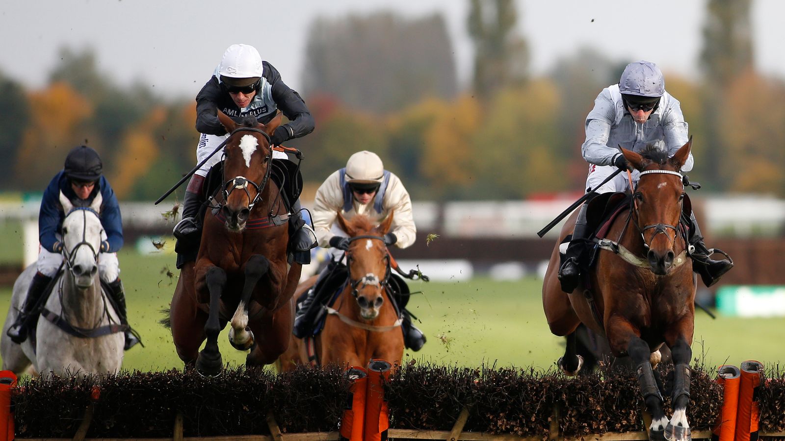 Racing from Newbury: Dusky Legend takes step towards Cheltenham ...