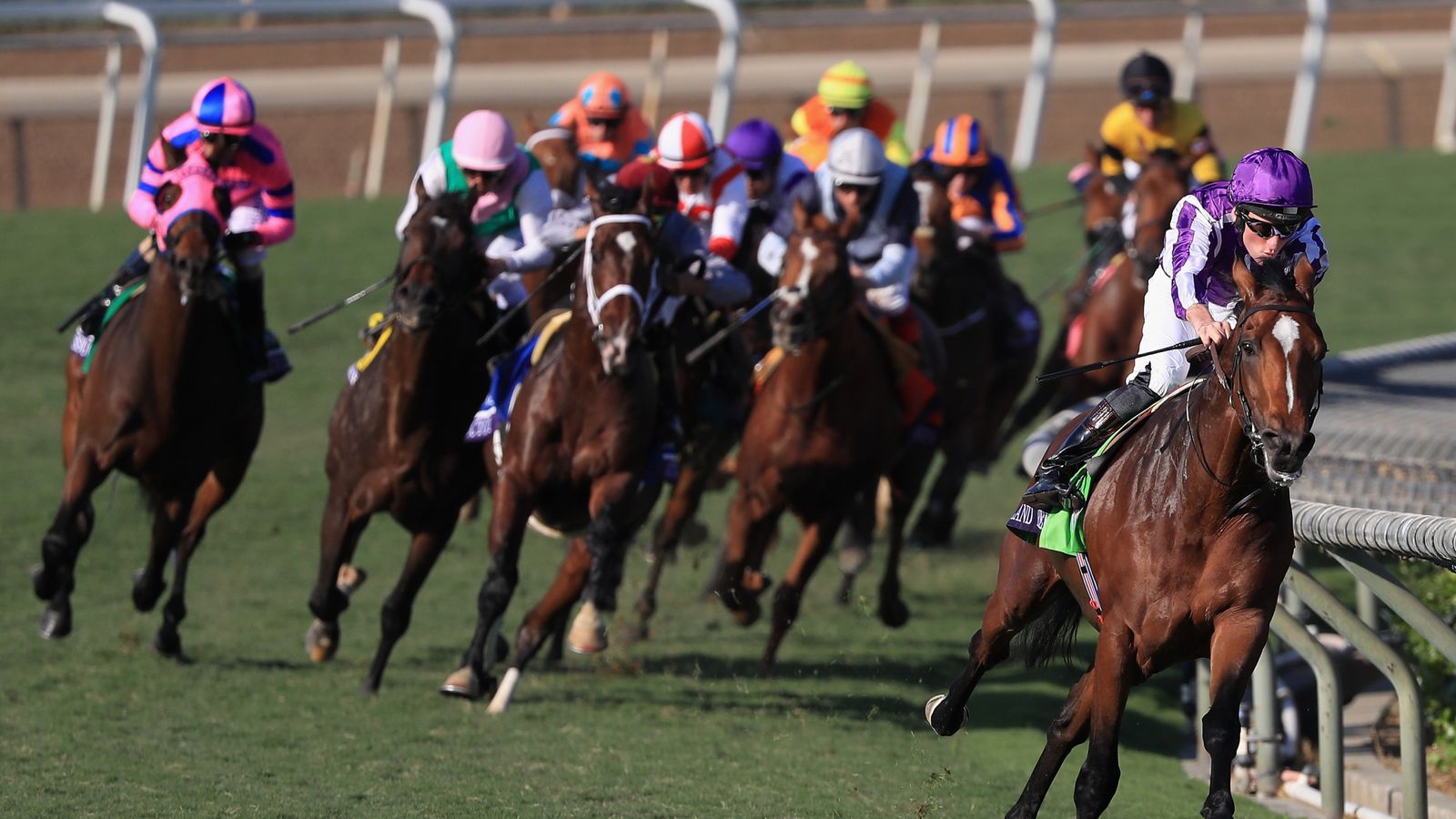 Breeders' Cup Turf winners up for Cartier along with Almanzor | Racing ...