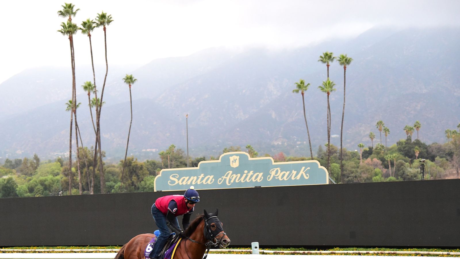 Breeders' Cup: Hugo Palmer talks to Graham Cunningham ahead of the ...