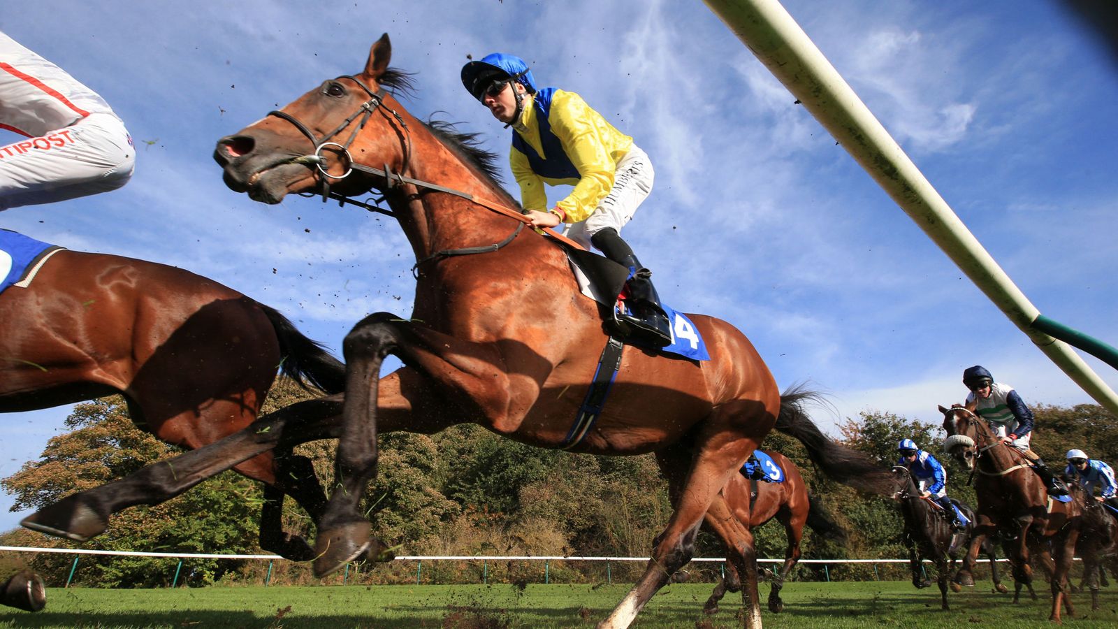 Gallops Report: Mick Channon | Racing News | Sky Sports