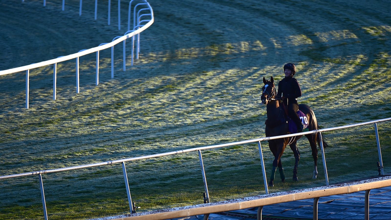 Henry Candy happy to sit tight with Limato after Dubai run | Racing ...