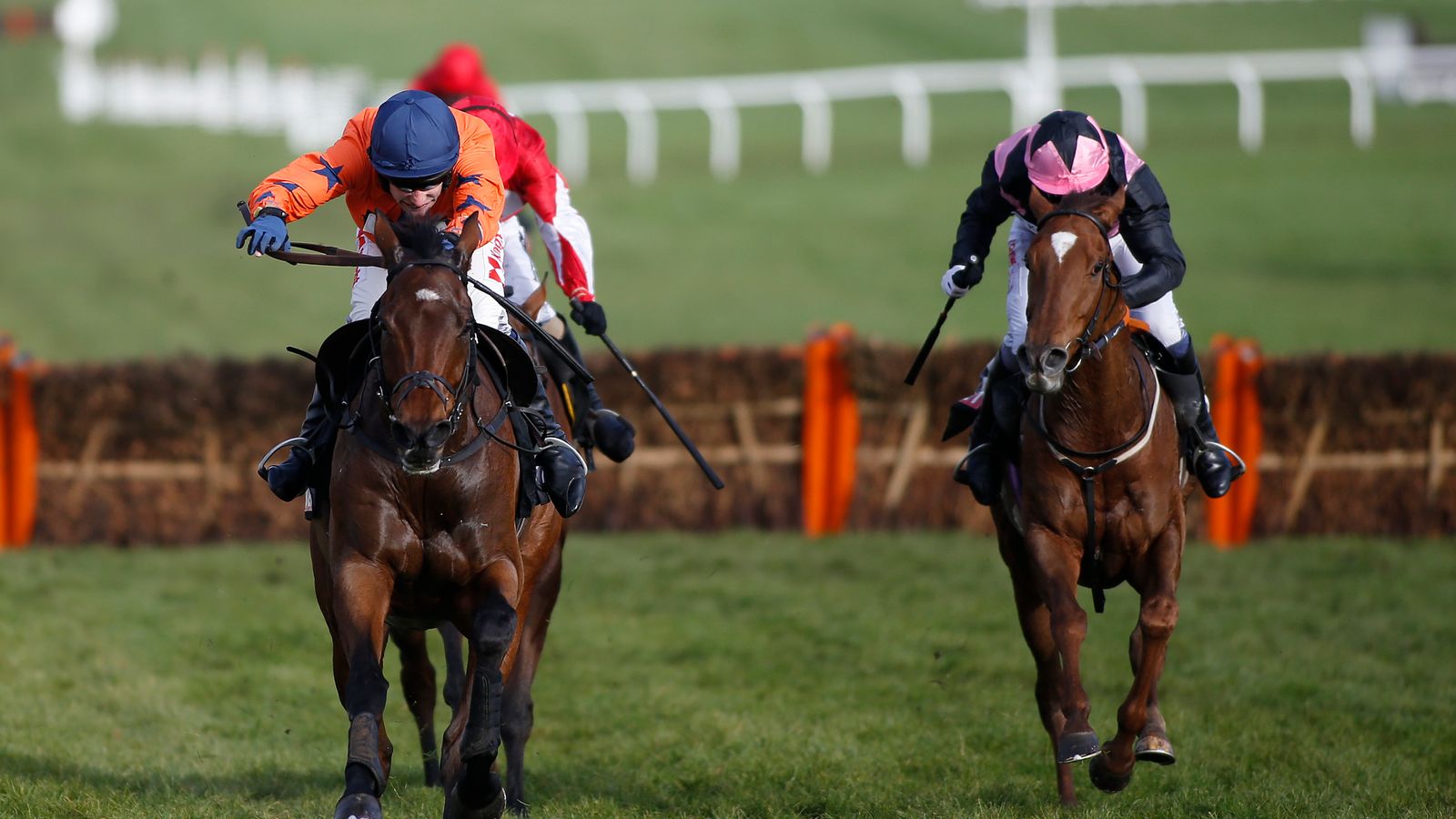 Moon Racer back in training after bout of colic | Racing News | Sky Sports