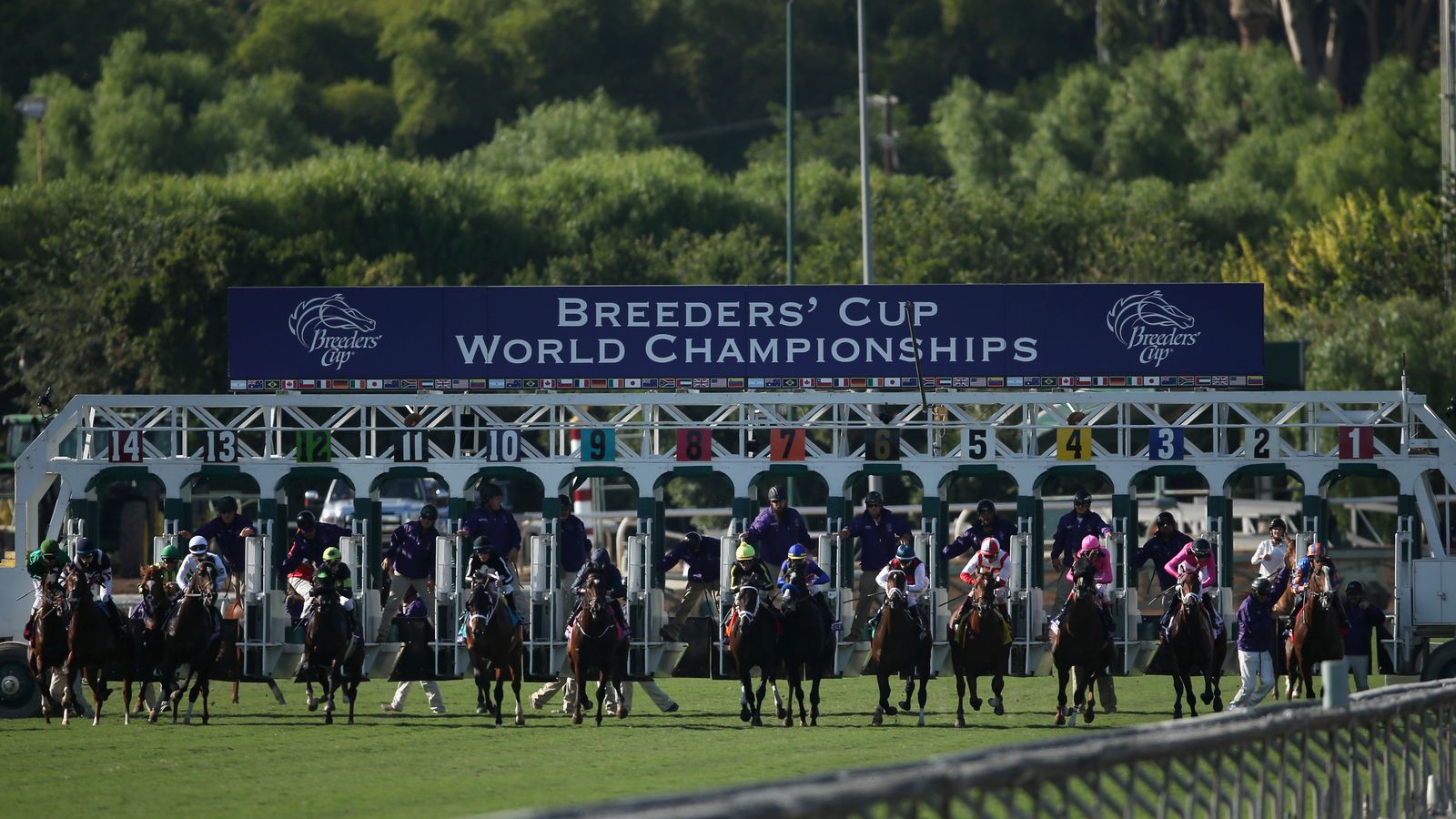 Breeders' Cup Classic glory for Accelerate | Racing News | Sky Sports