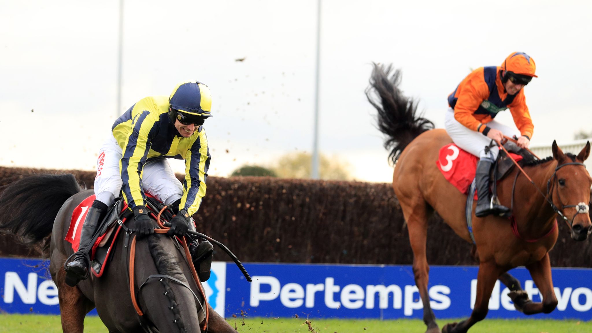 Lucy Wadham targets Cheltenham Festival with Potters Legend. | Racing ...