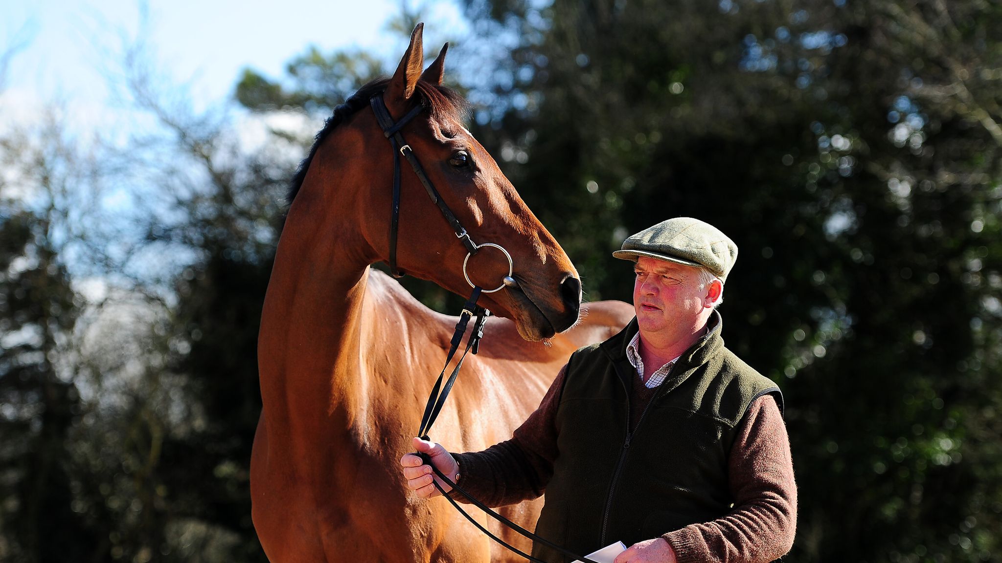 Colin Tizzard wary of Alary's weight in Peter Marsh Chase at Haydock ...