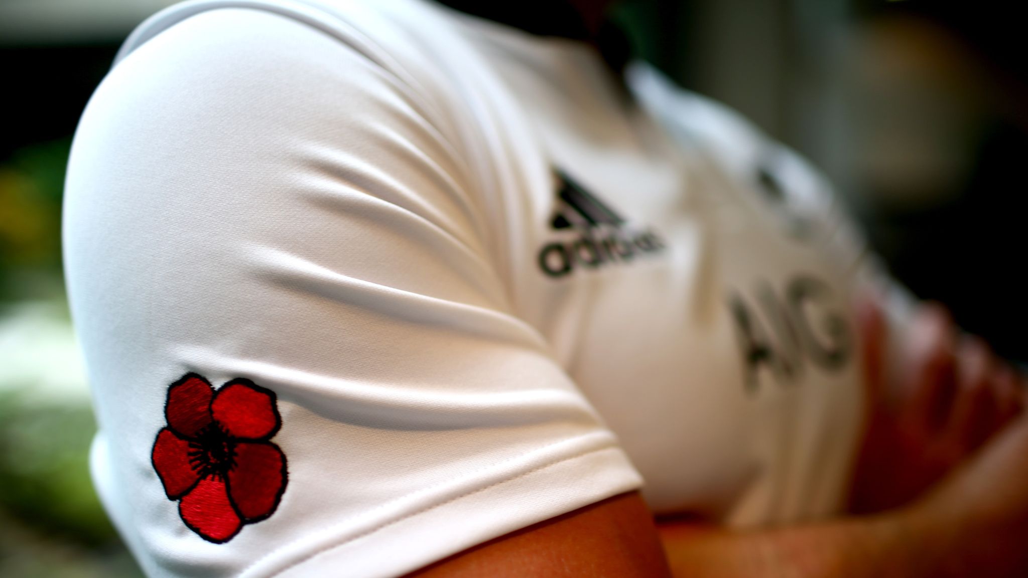 Matt Todd says New Zealand 'honoured' to wear poppies | Rugby Union ...