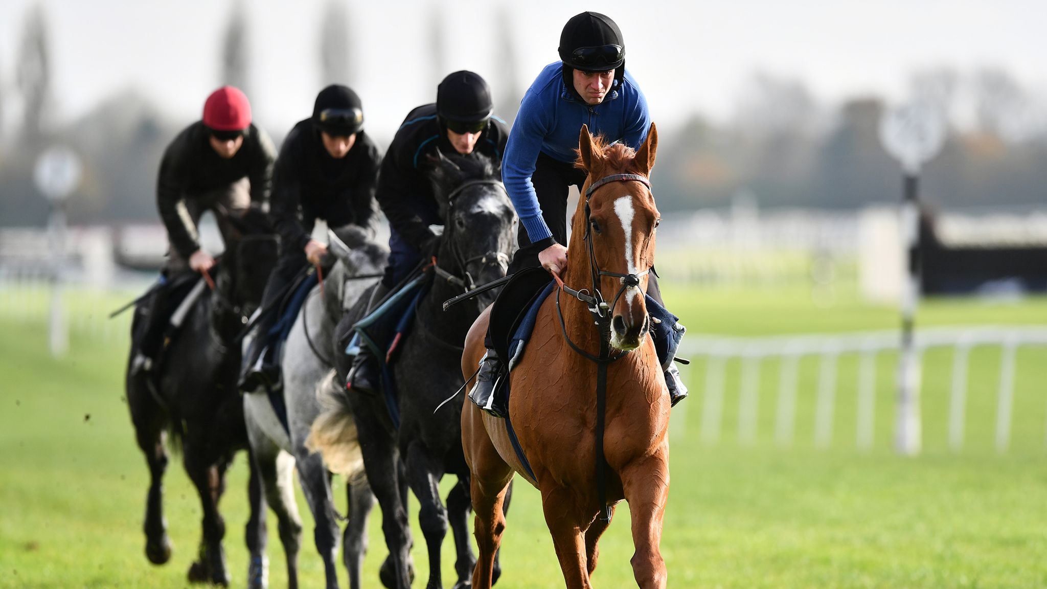 Nicky Henderson prepares Triolo d'Alene and Vyta Du Roc for Hennessy ...