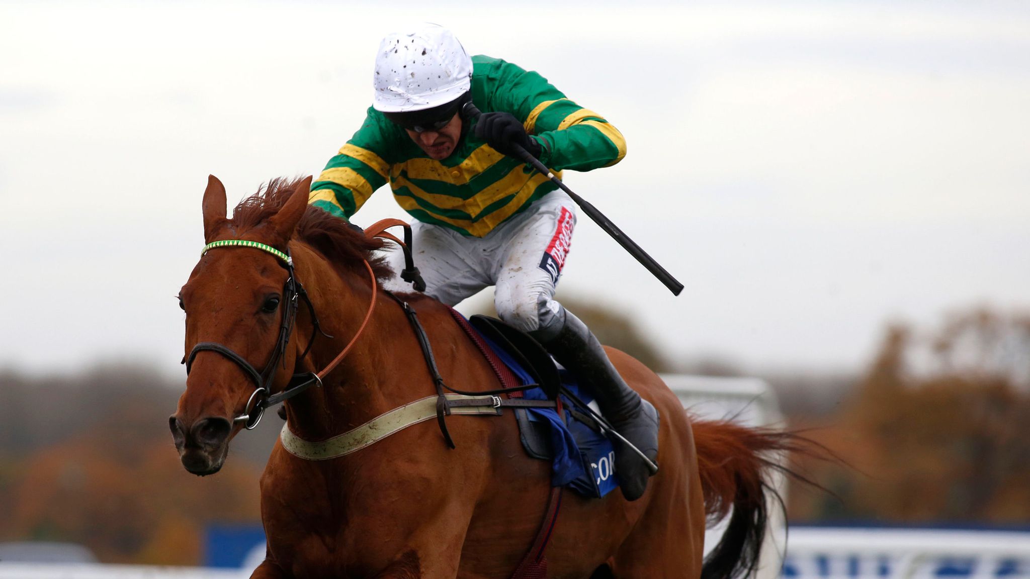 No Vroum Vroum Mag in 12-strong Champion Hurdle field | Racing News ...