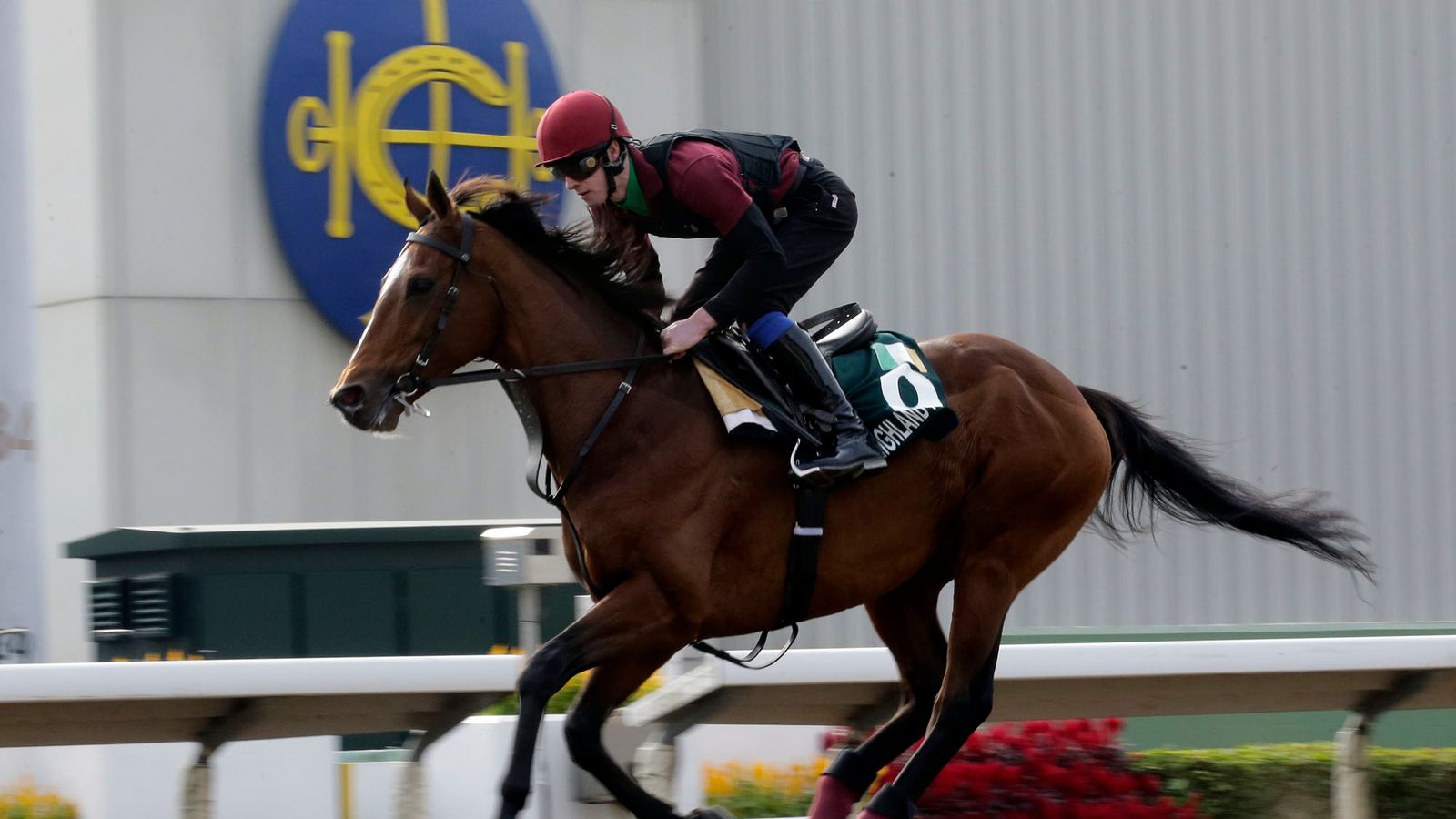 Ballydoyle brothers up for the Cup | Racing News | Sky Sports