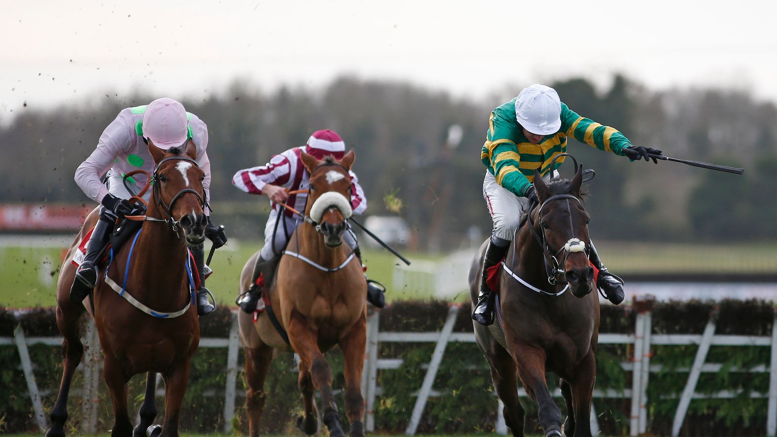 Landofhopeandglory continues chasing progress at Roscommon | Racing ...