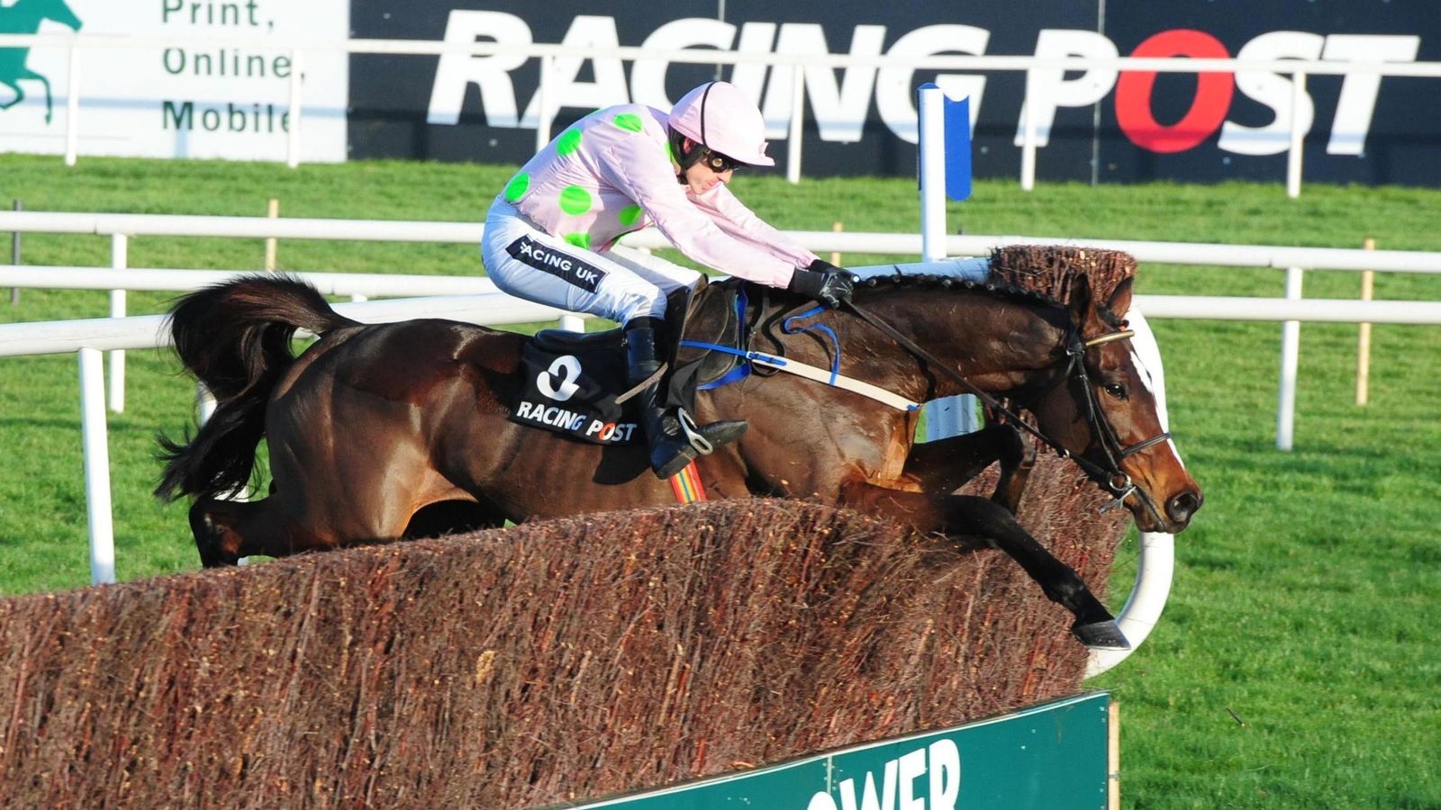 Rich Ricci takes stock after Faugheen, Min and Annie Power blows ...