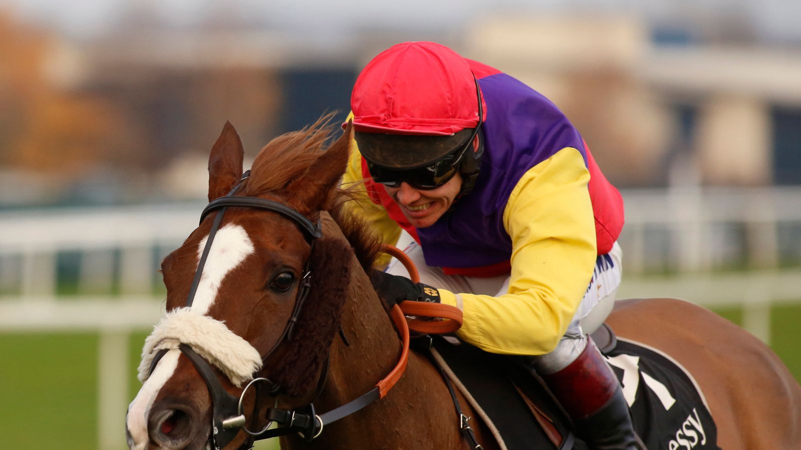 Native River and Cue Card fancied for Colin Tizzard 1-2 in Timico ...