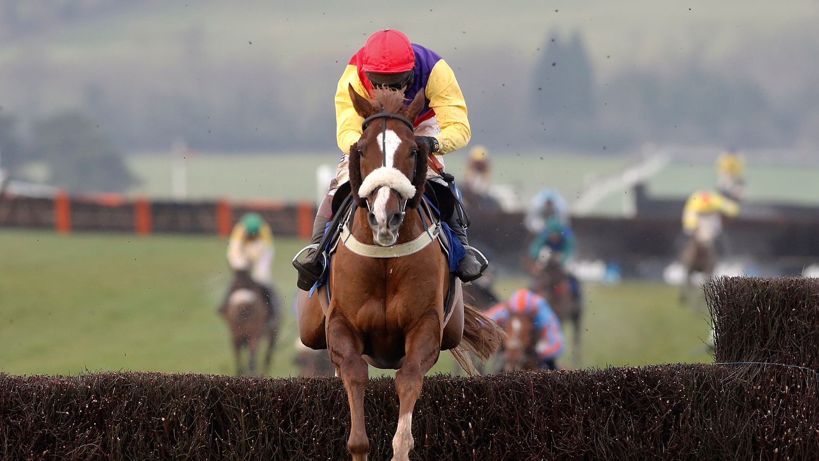 Gold Cup king Native River faces 15 rivals | Racing News | Sky Sports