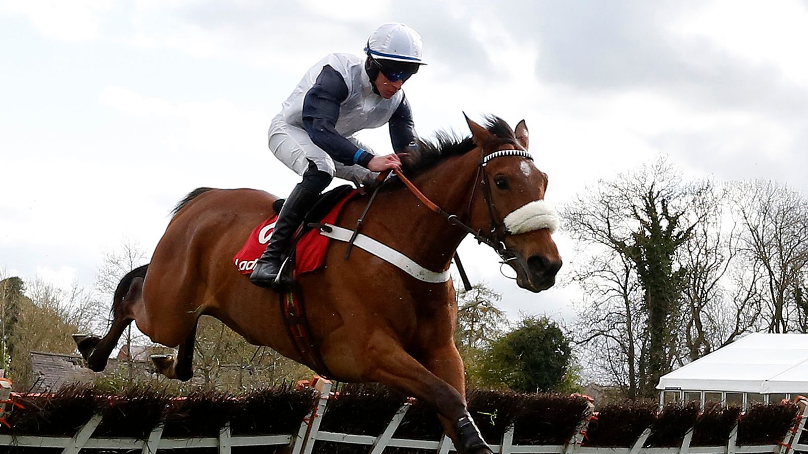 Warren Greatrex considers Stayers' Hurdle for One Track Mind | Racing ...