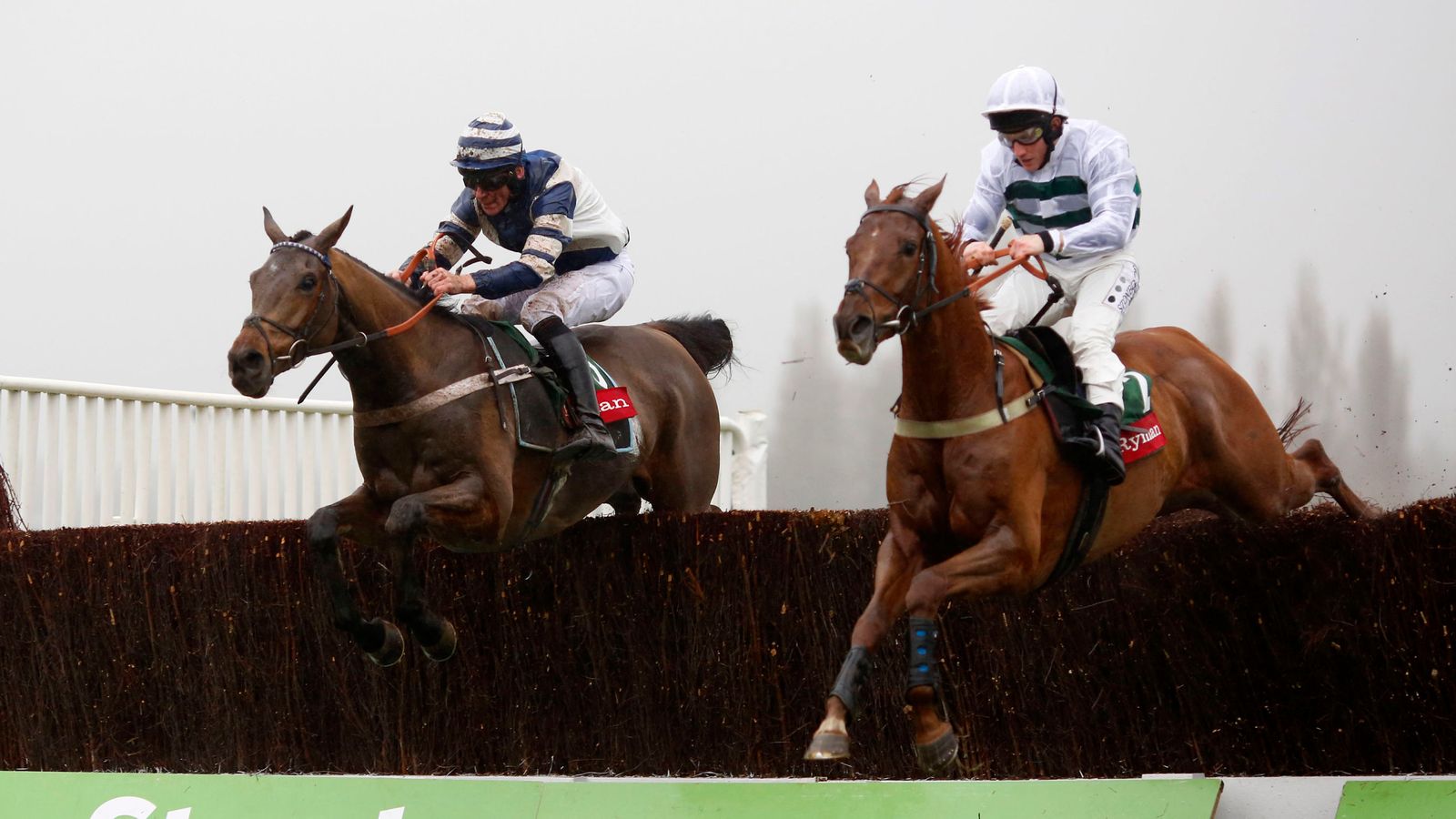 Yay or Neigh: Can Nicky Henderson's Whisper go to the top over fences ...