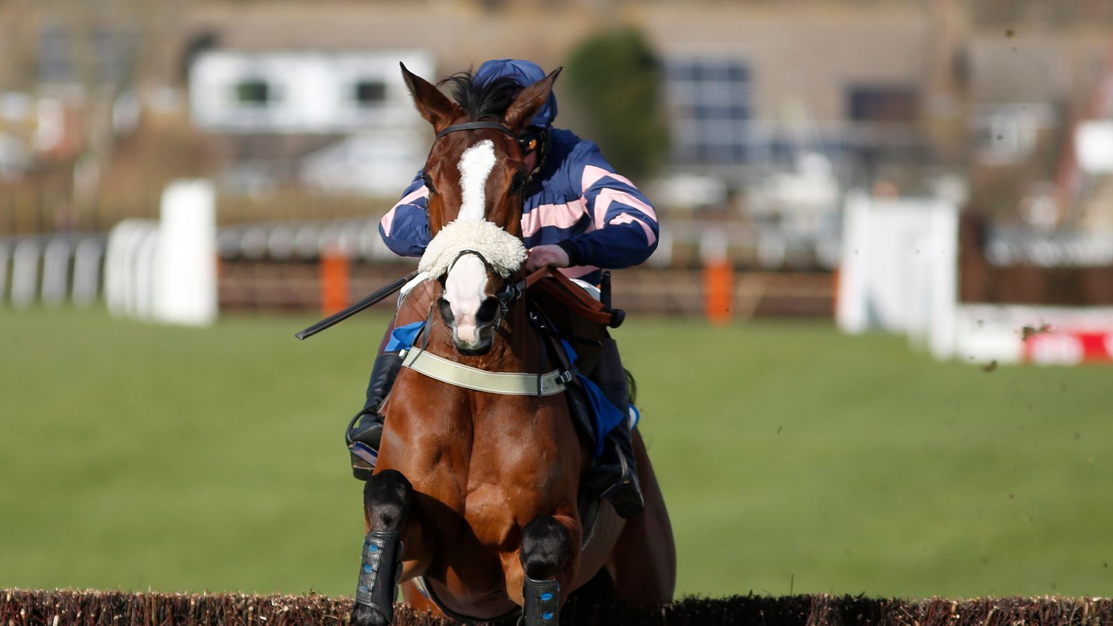 Alex Hammond weekly racing blog | Racing News | Sky Sports