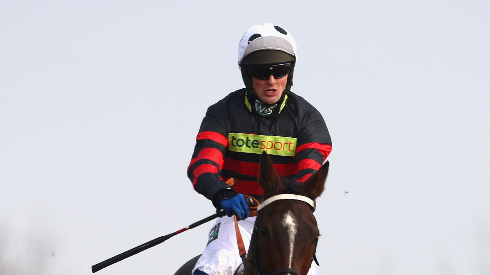 Tributes paid to Cool Roxy after death of 11-times Fakenham winner ...