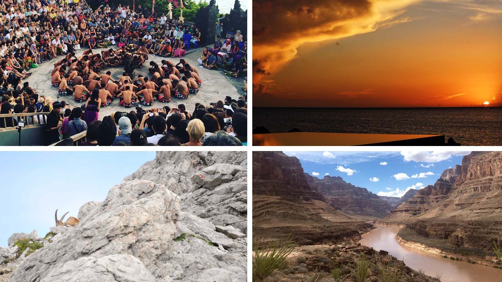 Vote: Zoom Auction in aid of the Starlight Children’s Foundation ...