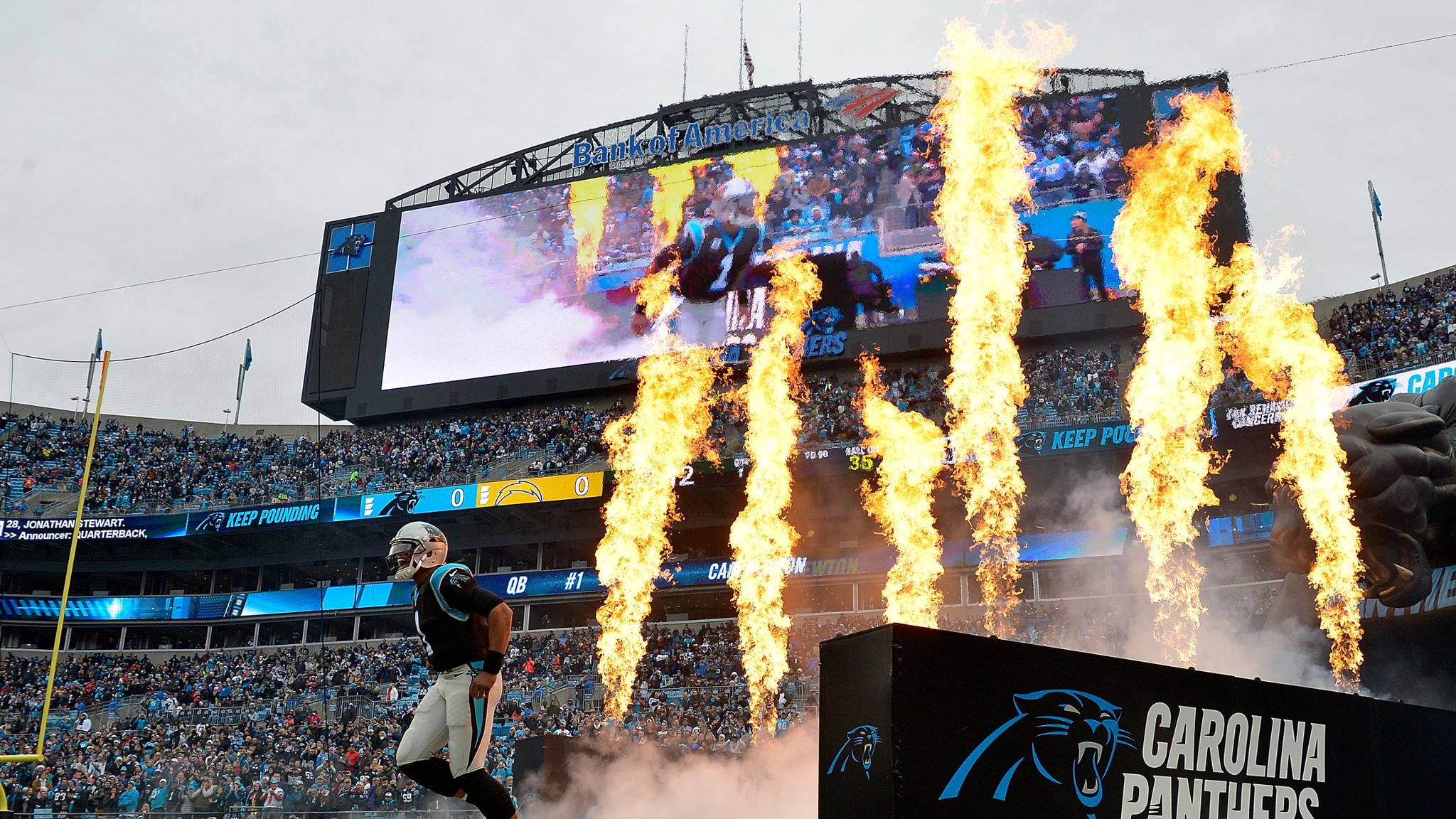 Carolina Panthers stats and facts | NFL News | Sky Sports