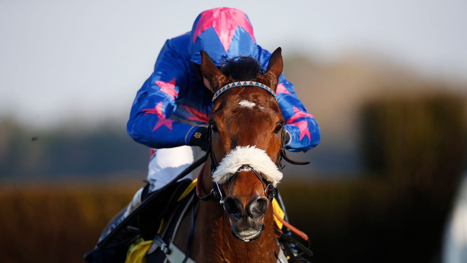 Cue Card could run again says trainer Colin Tizzard | Racing News | Sky ...