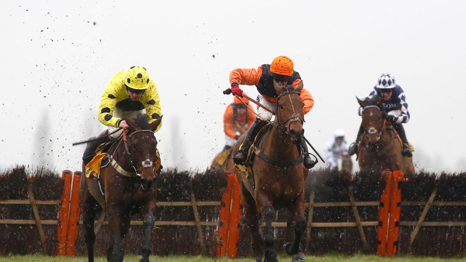 Debra Hamer's high hopes for Tobefair at Cheltenham Festival | Racing ...