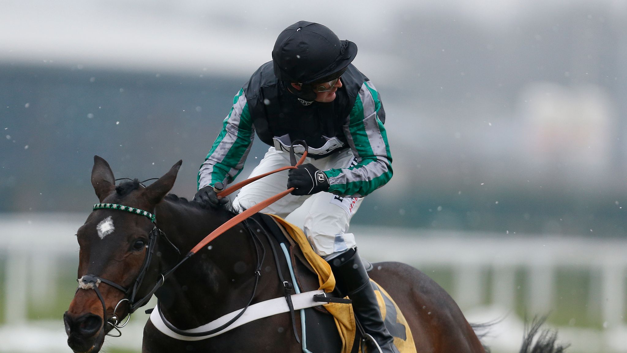 Altior stars in Tingle Creek | Racing News | Sky Sports