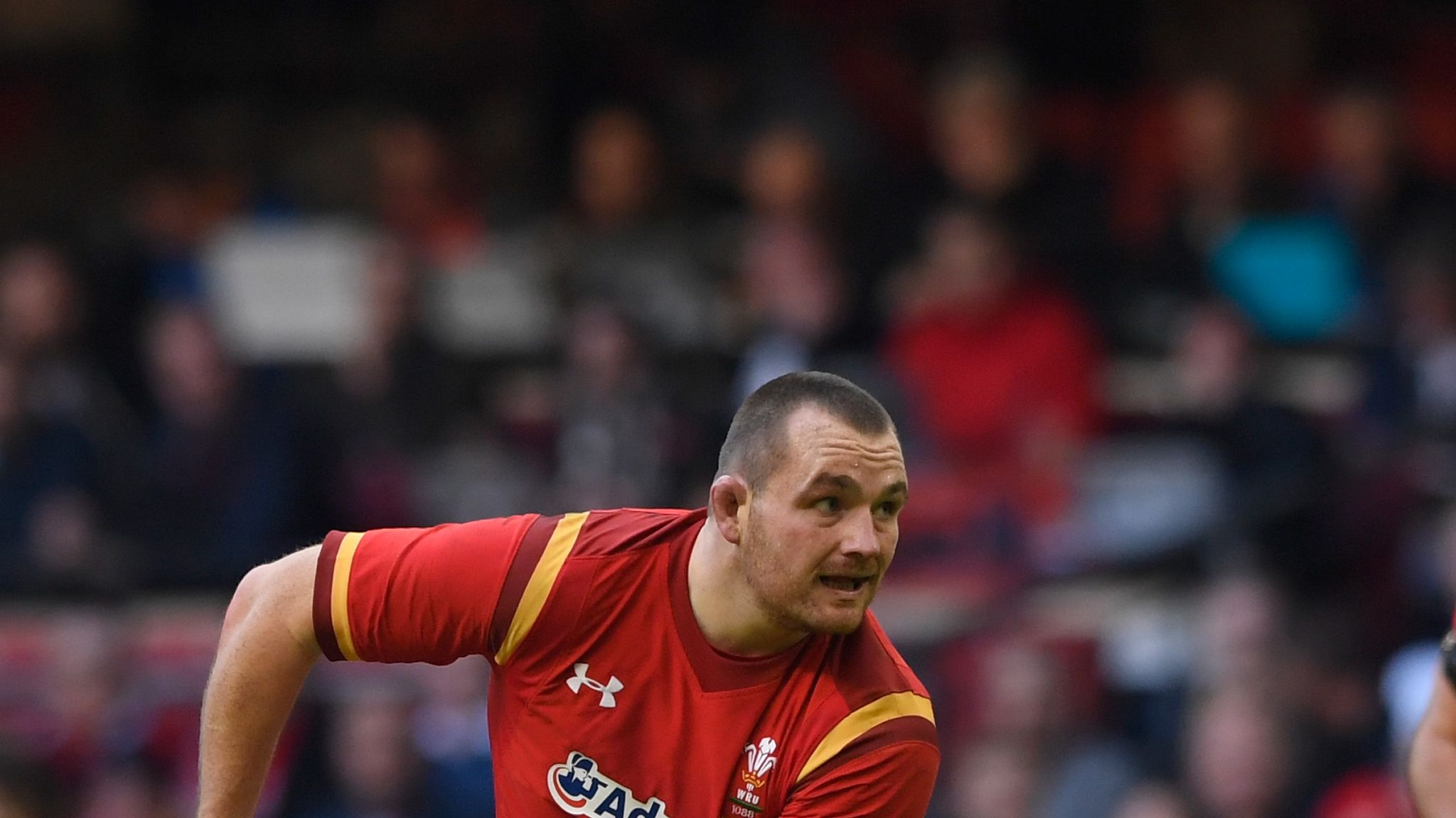 Injury scare for Lions as Ken Owens is ruled out of Scarlets semi-final ...