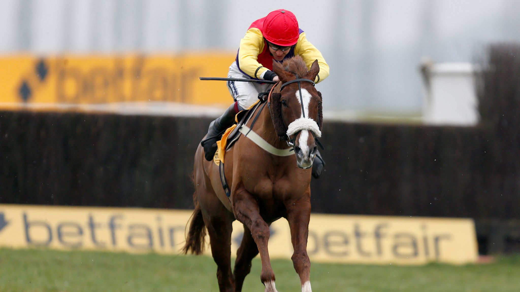Native River in fine form ahead of Cheltenham Gold Cup | Racing News ...