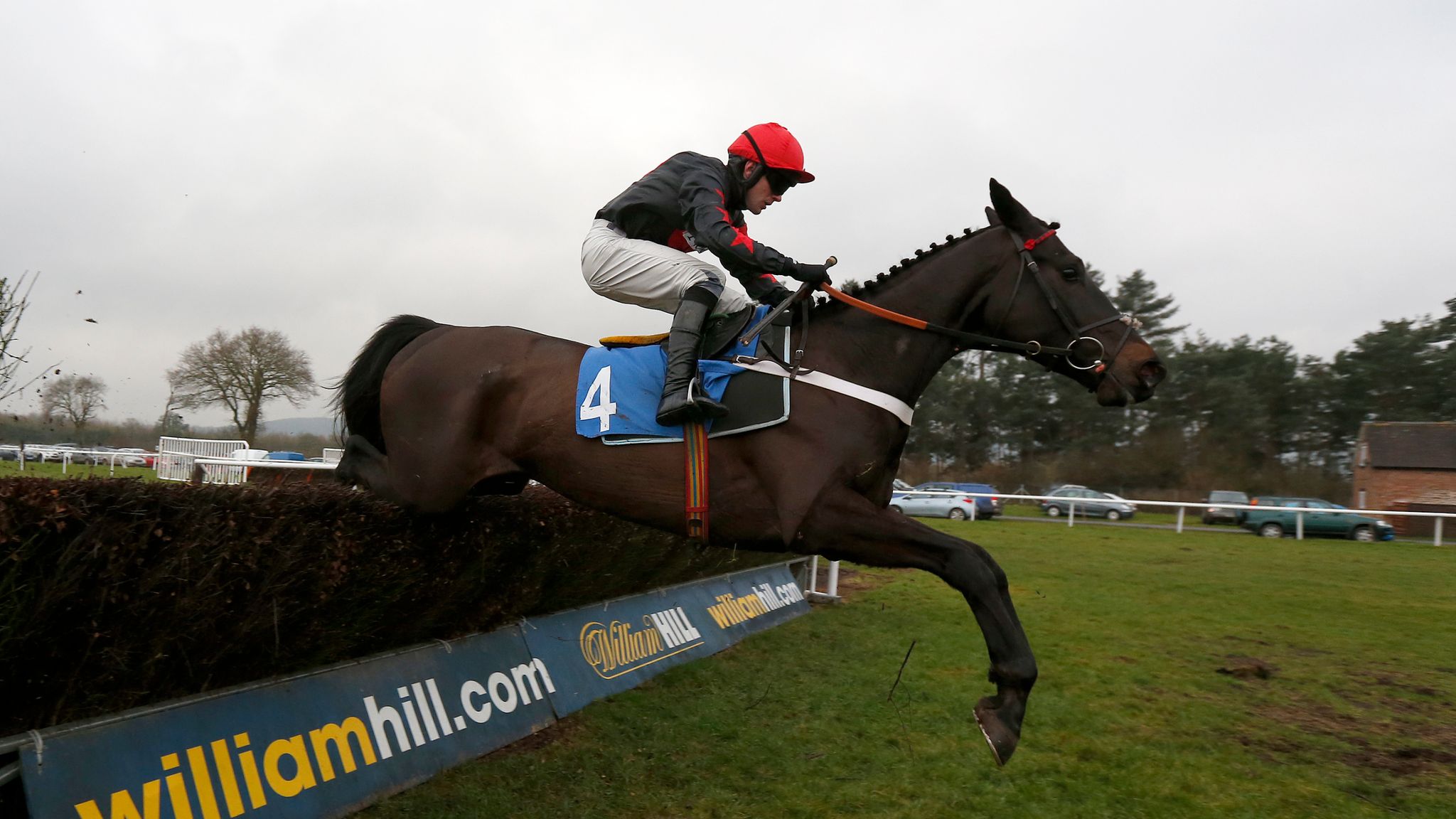 Gallops Report from Nicky Henderson's Lambourn stables | Racing News ...
