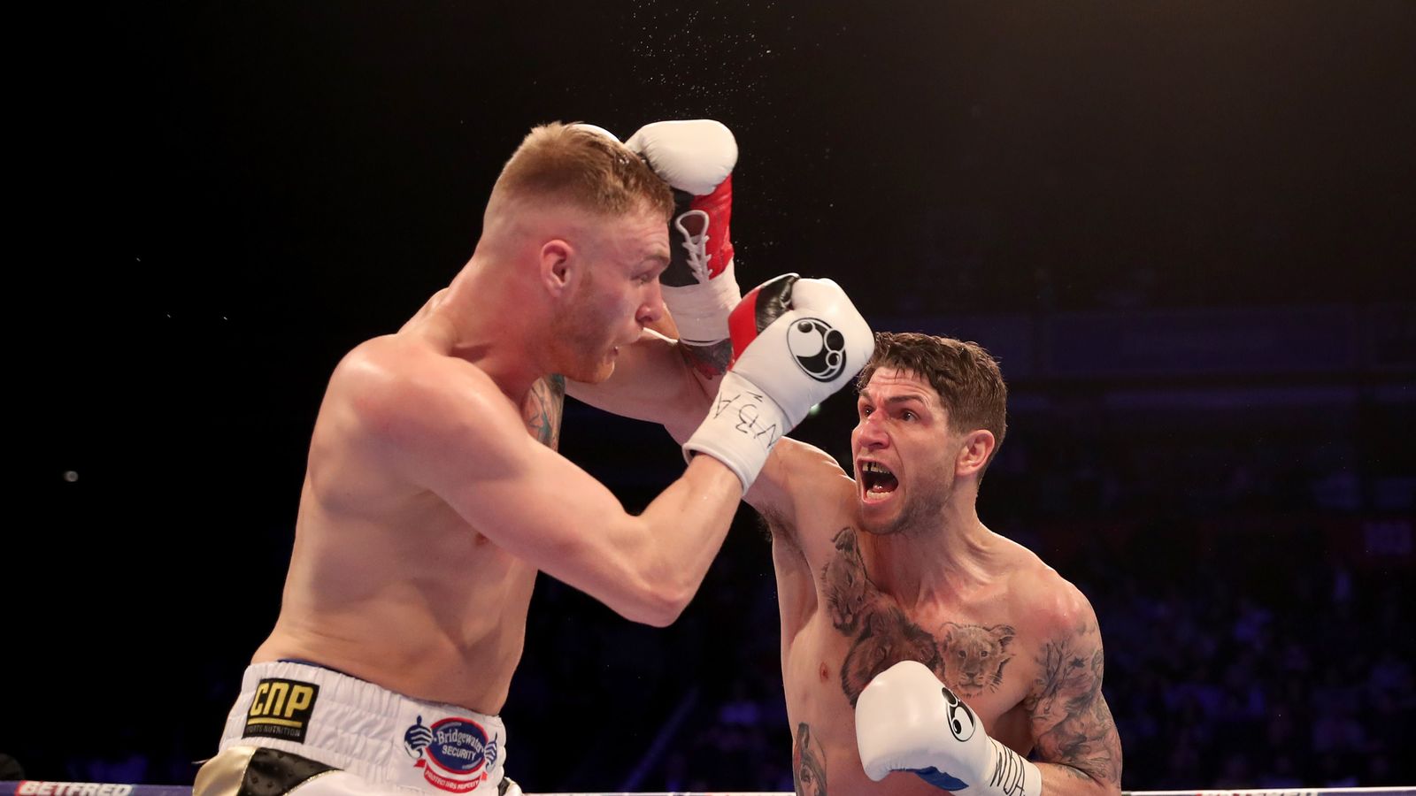 Linares vs Crolla: Jack Arnfield claims points win over Brian Rose ...
