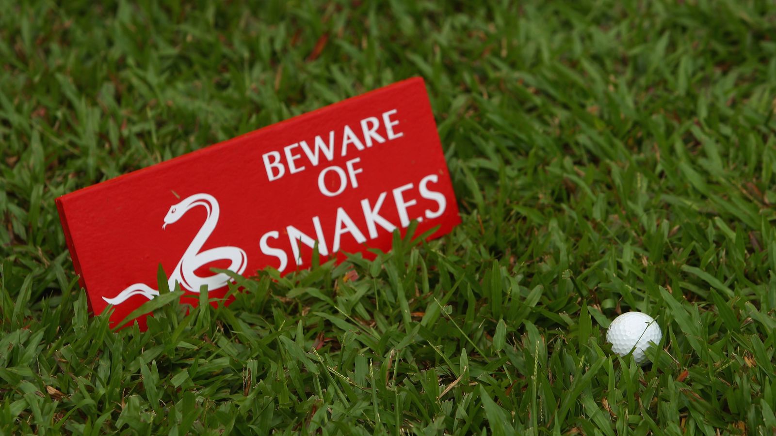 Wayne Riley catches a number of PGA Tour pros out with his fake snake ...
