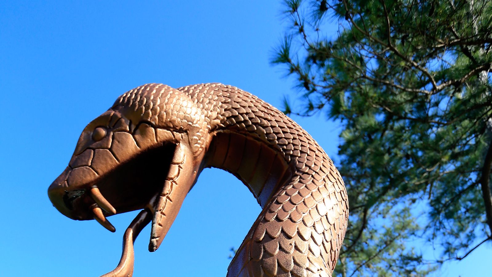 Henrik Stenson and Justin Thomas star at the Valspar Championship ...