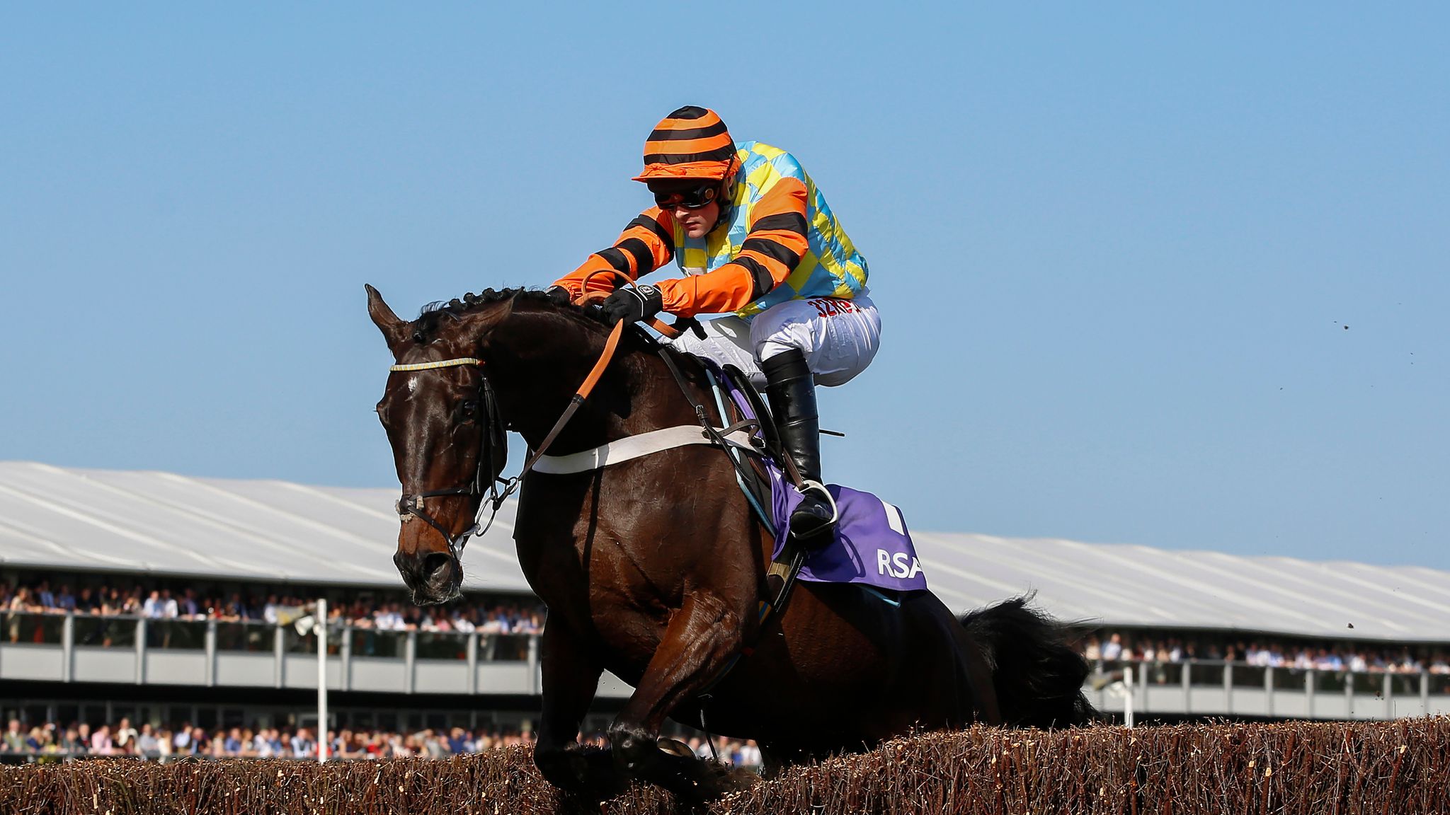 Nicky Henderson Puzzled By Might Bite Racing News Sky Sports